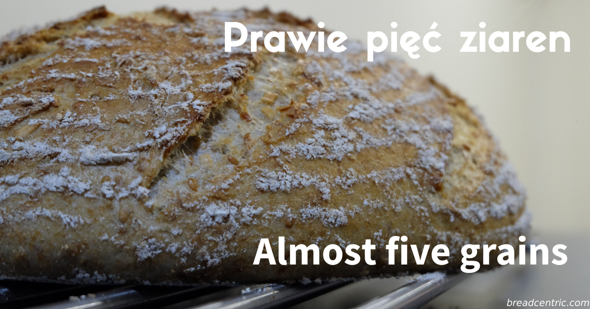 Almost five grains bread. Chleb “prawie pięć ziaren” – Breadcentric