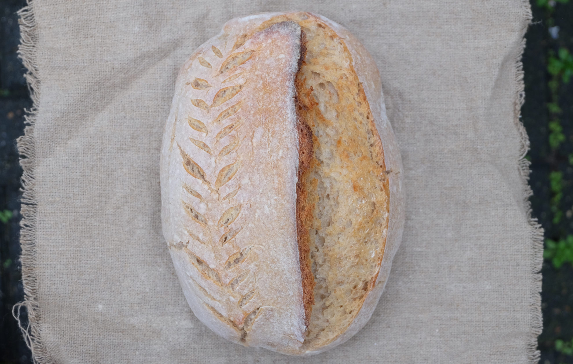 Vermont Sourdough bread. Chleb z Vermont na zakwasie. – Breadcentric